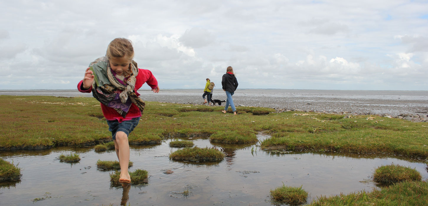 Nationalpark Vadehavet | VisitSønderjylland