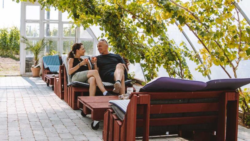 Aarø & Årøsund | Haderslev