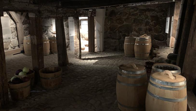 Musserne i Slotsgadkvarteret | Haderslev